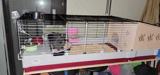 MIDWEST Wabbitat Deluxe Rabbit Home Wood Hut Expansion - Chewy.com