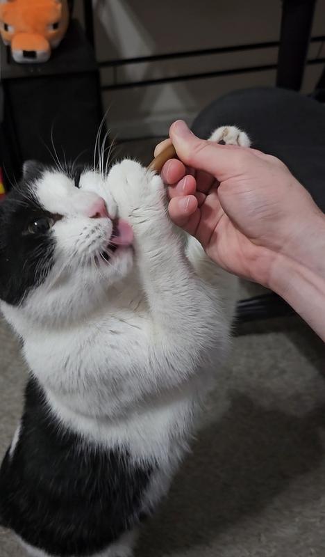 N-BONE Chicken Flavor Cat Chew Treats, 3.74-oz bag - Chewy.com