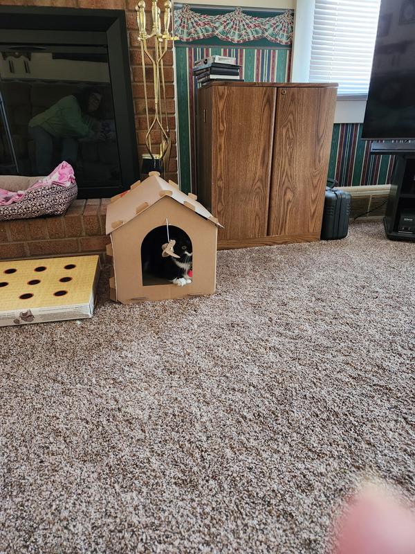 TIGER TOUGH Gingerbread House Corrugated Cat Scratcher Toy - Chewy.com