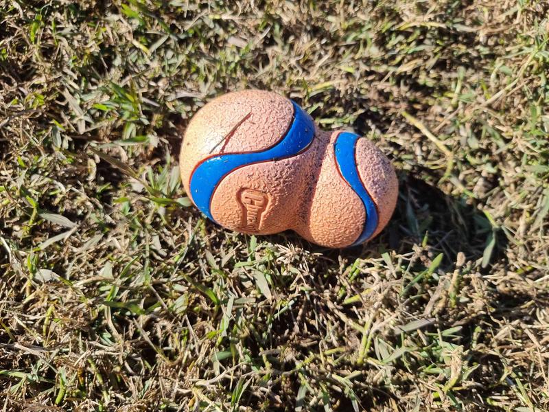 CHUCKIT! Ultra Tumbler Chaser Dog Toy - Chewy.com