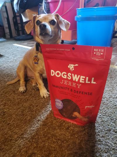 DOGSWELL Jerky Immune System Duck Recipe Grain-Free Dog Treats, 20-oz ...