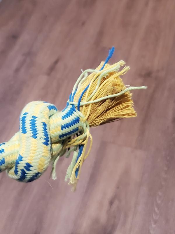 FRISCO Birthday Balloon Plush with Rope Squeaky Dog Toy, Blue, Medium ...