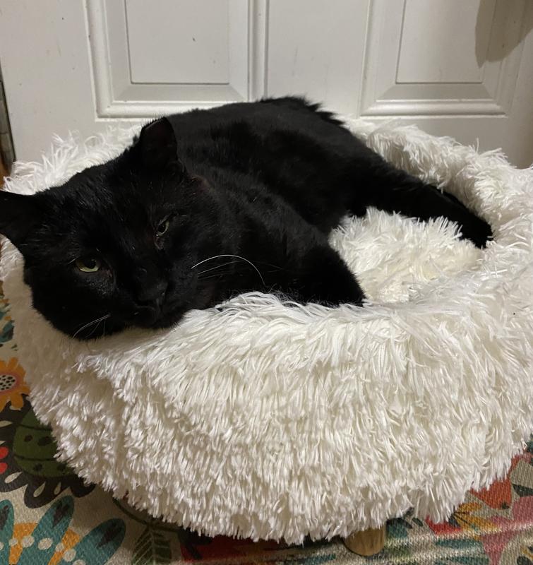 FRISCO Eyelash Fur Round Elevated Cat Bed, Gray - Chewy.com