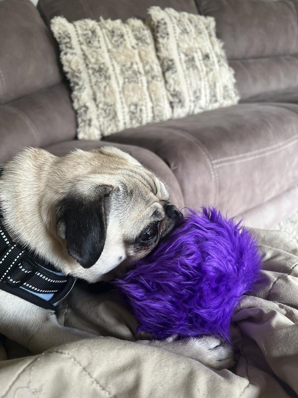 goDog Furballz Chew Guard Squeaky Plush Dog Toy, Purple, Small - Chewy.com