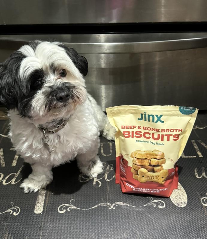 JINX Beef & Bone Broth Biscuits Crunchy Dog Treats, 16-oz bag - Chewy.com