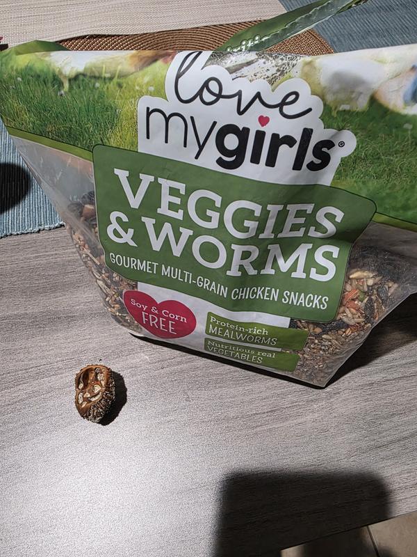 LOVE MY GIRLS 5-Grain & Worms Corn-Free Gourmet Chicken Treats, 5-lb ...