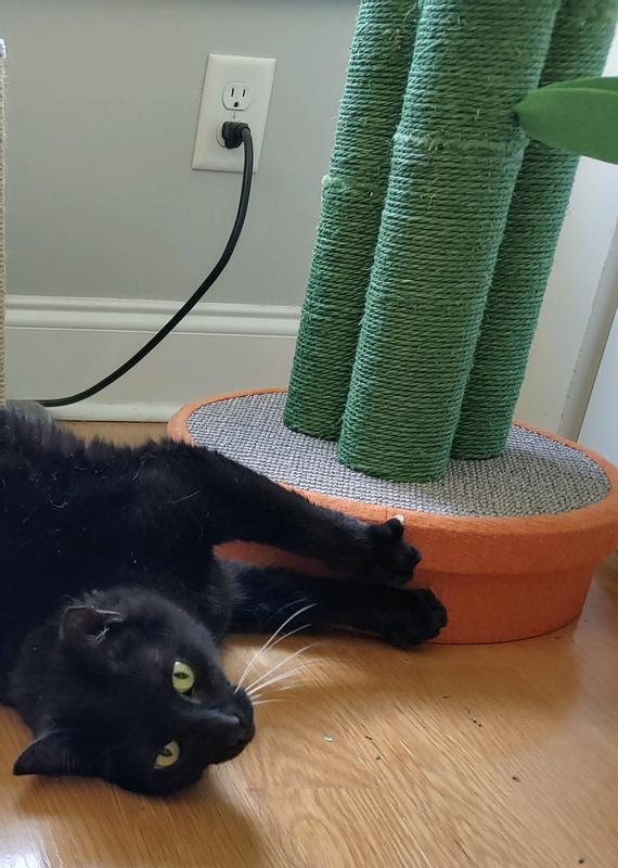 FRISCO Lucky Bamboo 35.5" Cat Scratching Posts with Toys - Chewy.com