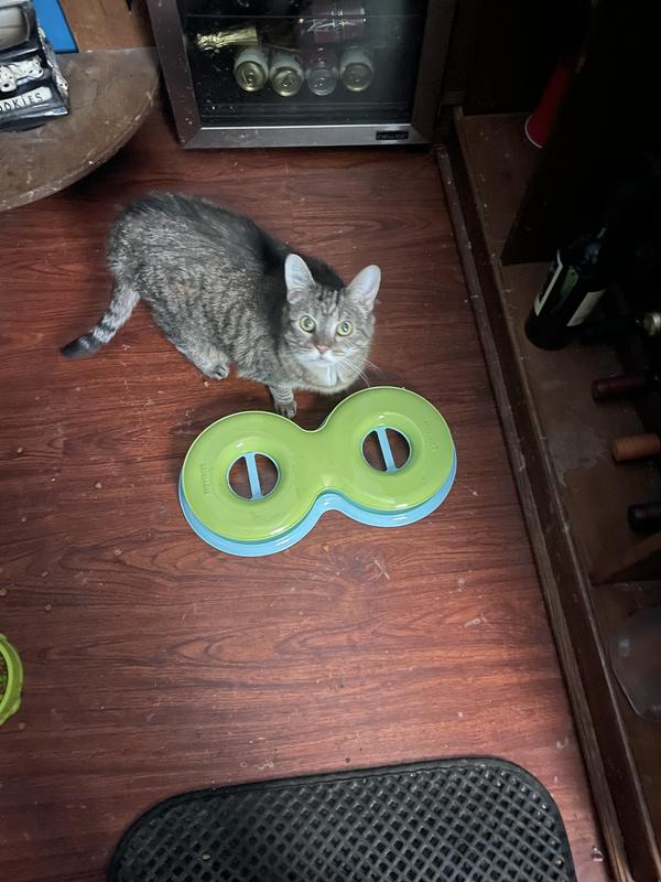 CATSTAGES Infinity Ball Track Including One Light-Up Ball, Figure-8 ...