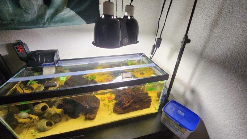 H2PRO Glass Canopy Aquarium Fish Tank Cover, 16-in - Chewy.com