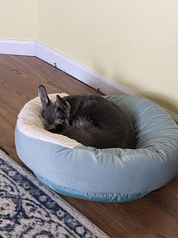 BEST FRIENDS BY SHERI Cozy Cuddler Covered Cat & Dog Bed, Tide Pool ...