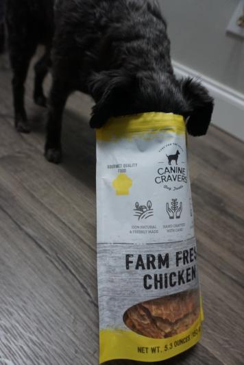 CANINE CRAVERS Farm Fresh Chicken Dehydrated Dog Treats, 5.3-oz pouch ...