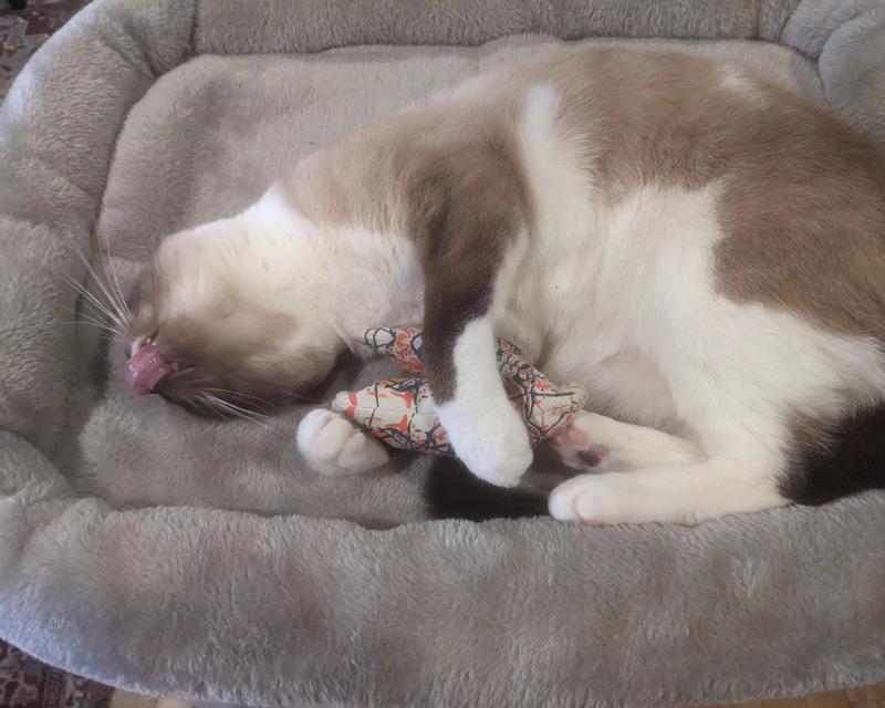 YEOWWW! Catnip Pollock Fish Cat Toy - Chewy.com YEOWWW! Catnip Pollock Fish Cat Toy - Chewy.com