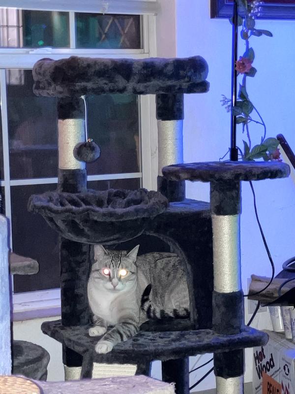 YAHEETECH Professional 42-in Cat Tree, Beige - Chewy.com