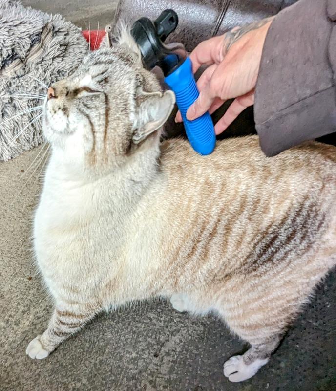 FRISCO Self-Cleaning Slicker Cat Brush - Chewy.com