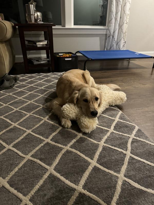 HUGGLEHOUNDS Huggle Fleece Bone Dog Toy, X-Large - Chewy.com