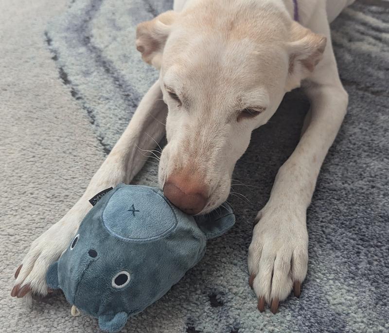 BARK Super Chewer Bear Hugger 2-in-1 Plush Exterior with Hard Core ...