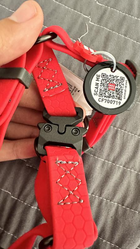 WAUDOG Waterproof Dog Harness with QR Tag, Blue, Large - Chewy.com