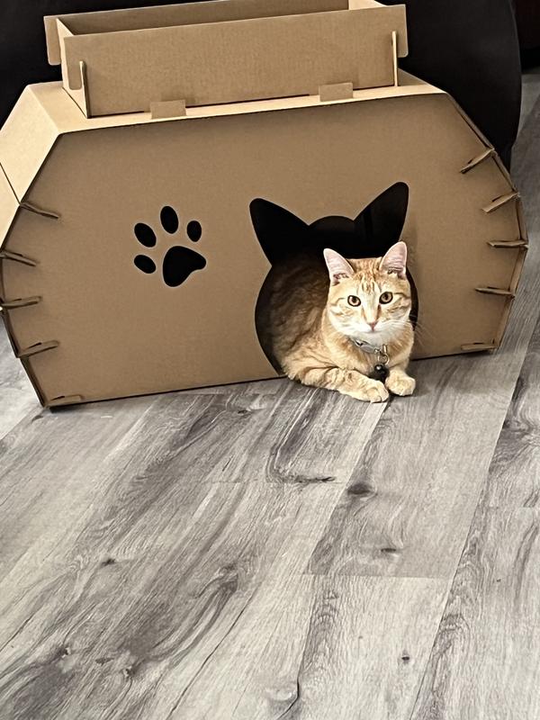 CARLSON PET PRODUCTS Cat Camper & Scratcher - Chewy.com