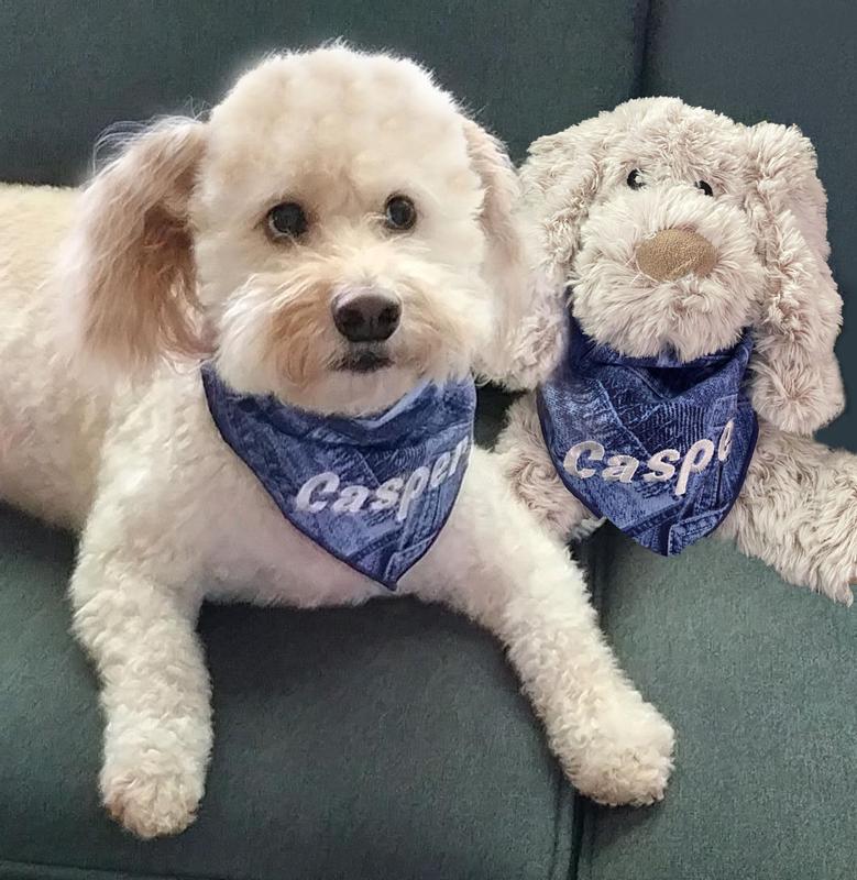 DERMA-CLENS Dermatologic Cream for Dogs & Cats, 1-oz tube - Chewy.com