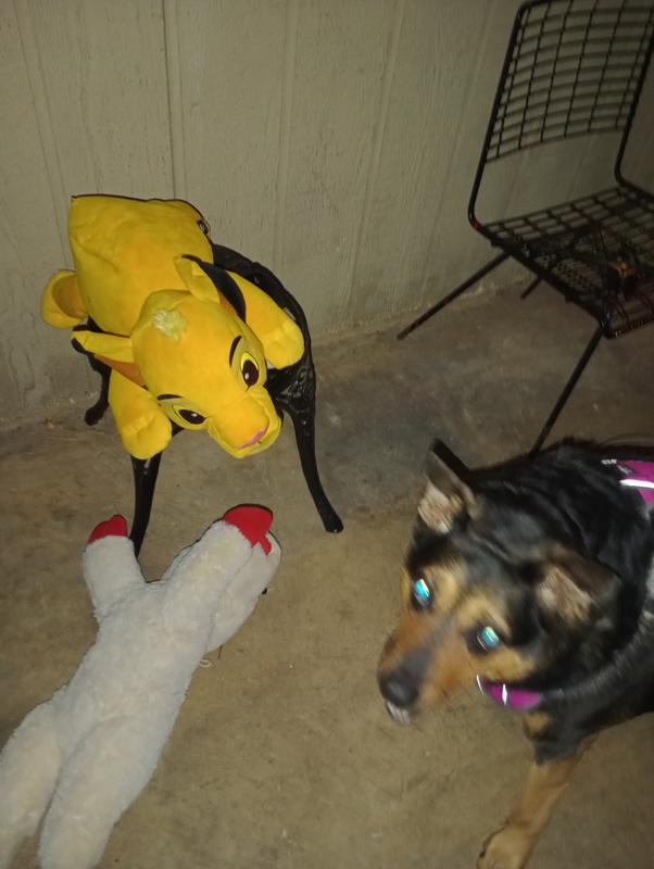 Discontinued - DISNEY Simba Jumbo Plush Squeaky Dog Toy - Chewy.com