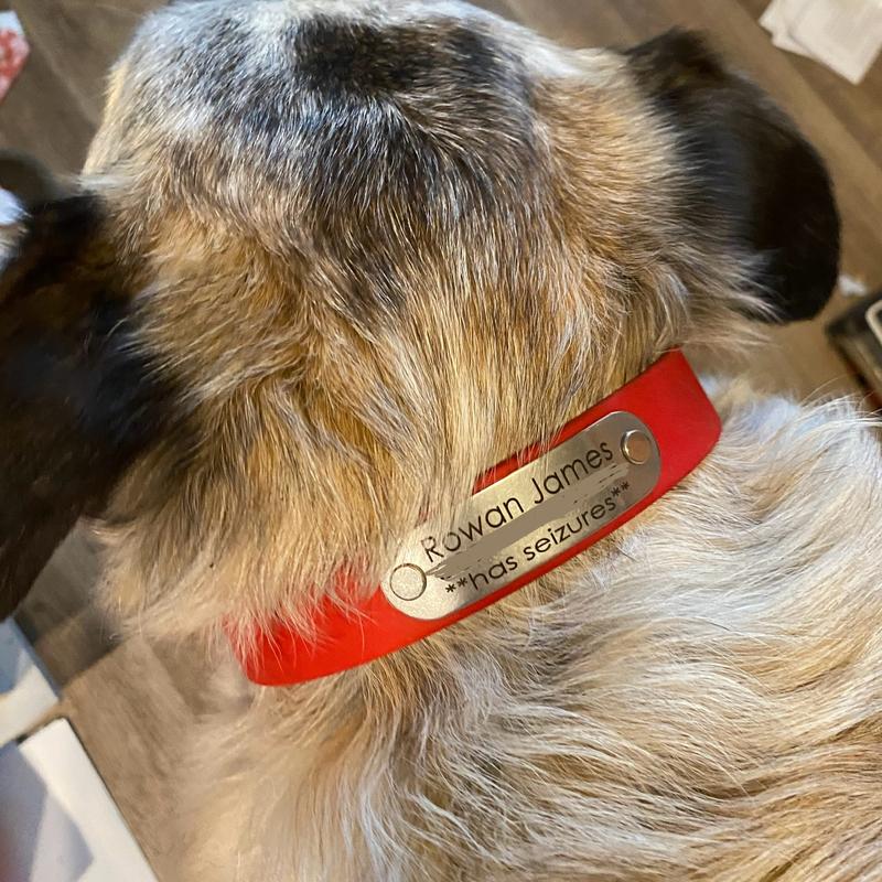 MIMI GREEN Waterproof with Riveted Name Plate Dog Collar, Olive, Small ...