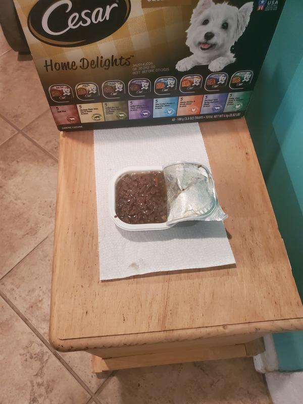 CESAR Home Delights Variety Pack Adult Chicken, Beef & Turkey in Gravy ...