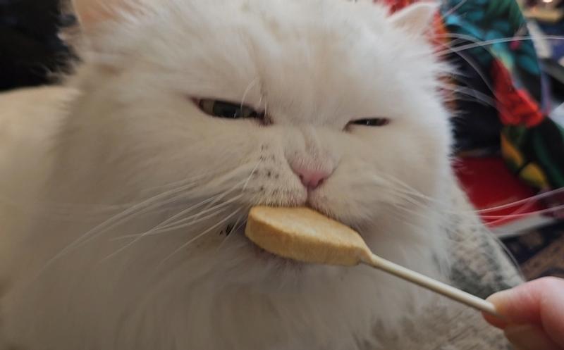 BONKERS Purr Pops Grain-Free Chicky Licks Freeze-Dried Cat Treats, 5.6 ...