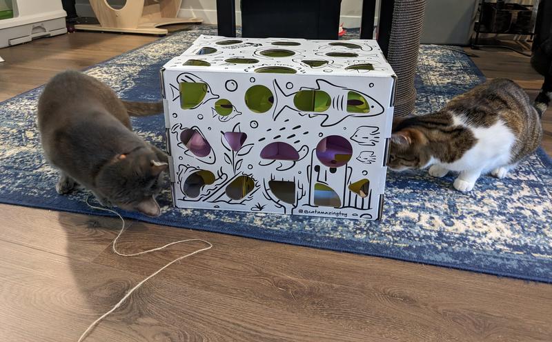 CAT AMAZING Mega-Interactive Treat Maze & Puzzle Cat Toy, White - Chewy.com