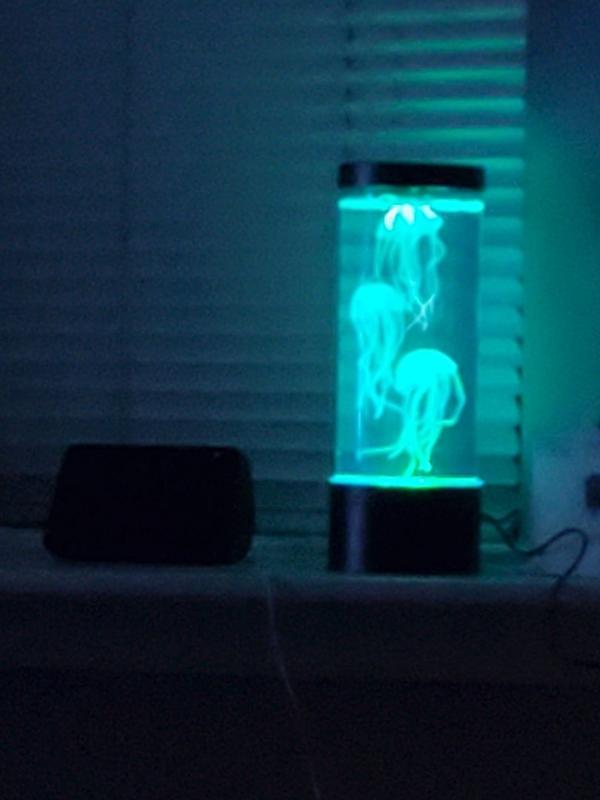 Discovery Kids Kids Jellyfish Lamp 1015414 at Lowes.com