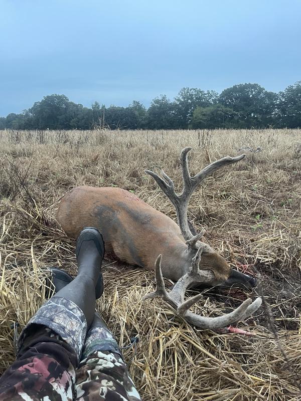 Muck Boot Company Unisex Mossy OakCountry DNA Forager Tall Boot at ...