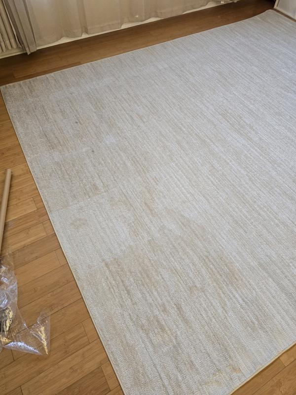 Nourison Home Essentials 9 X 9 (ft) Ivory Beige Square Indoor/Outdoor ...