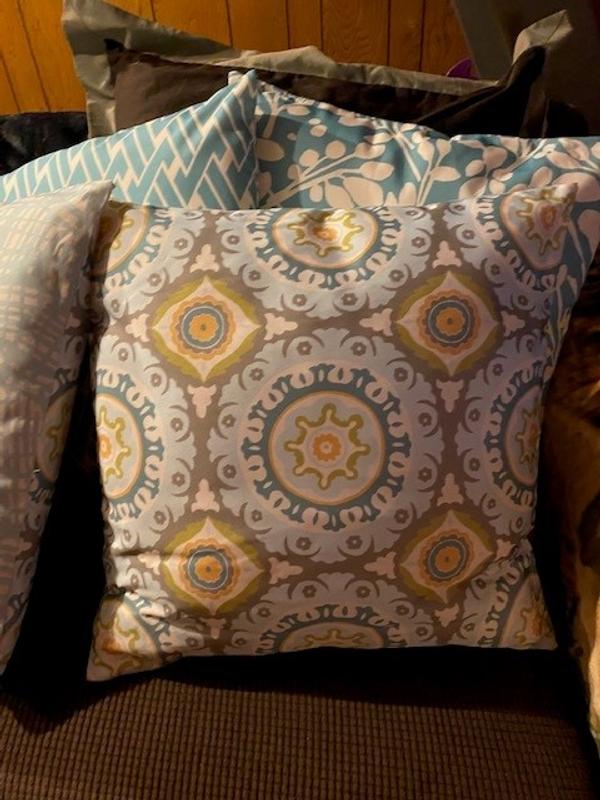 Waverly Waverly Pillows 20-in x 20-in Jade Square Indoor Decorative ...