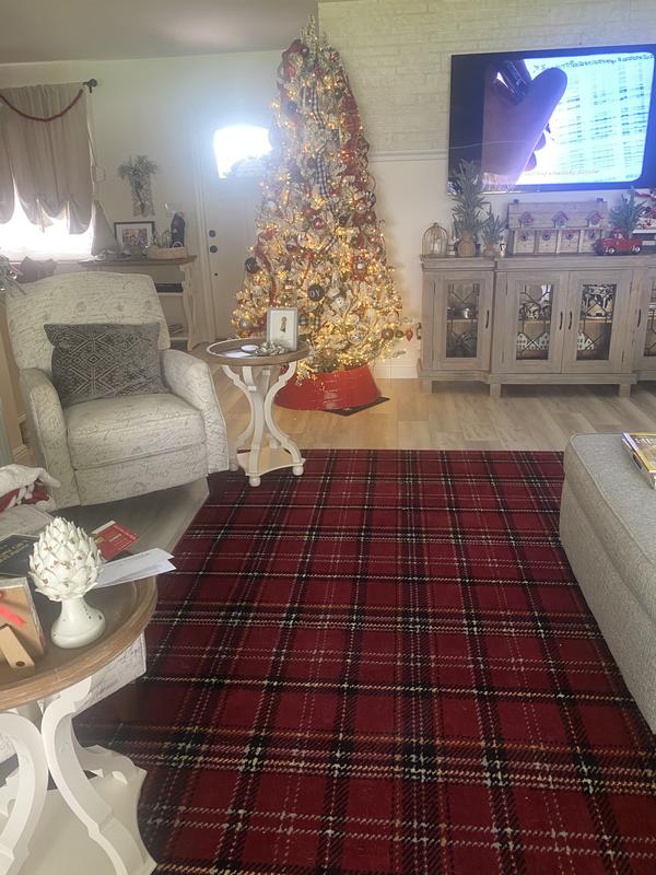 Nourison Home Grafix 2 x 4 ft Red Indoor Runner Rug in the Rugs ...