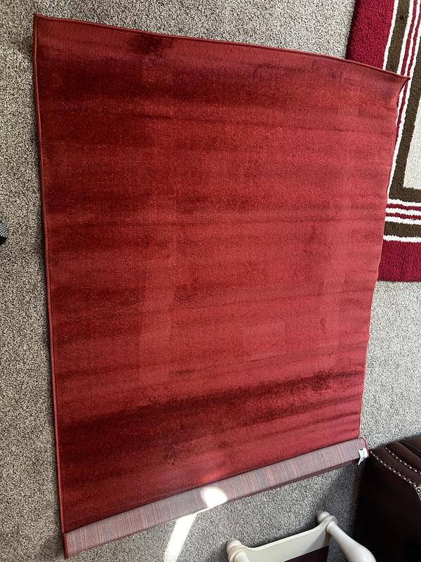 Nourison Home Essentials 9 X 9 (ft) Brick Red Square Indoor/Outdoor ...