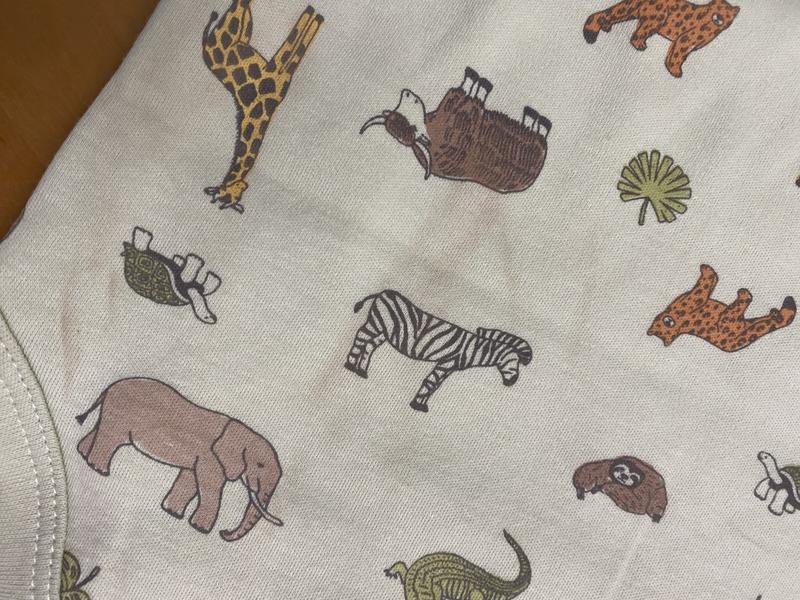 RABBIT AND BEAR ORGANIC Assorted 3-Pack Organic Cotton Bodysuits ...