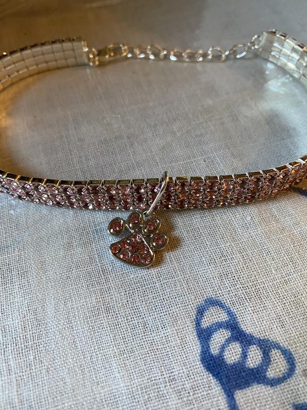 DOGS OF GLAMOUR Pendant Paw Collar - Small - Clear | Nordstromrack