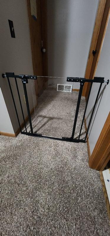 Toddleroo by North States 38-in x 30-in Hardware Mounted Graphite Metal ...