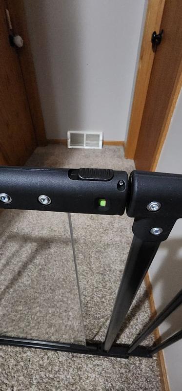 Toddleroo by North States 38-in x 30-in Hardware Mounted Graphite Metal ...