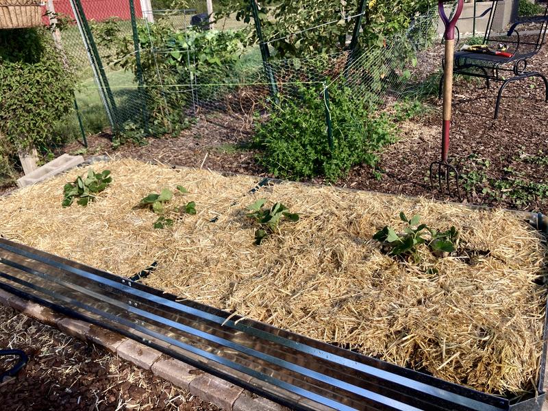 Northern tool raised beds store