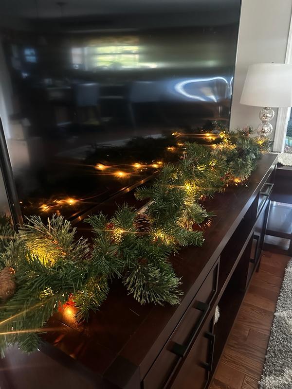 National Tree Company Indoor/Outdoor Pre-lit Electrical Outlet 9-ft ...