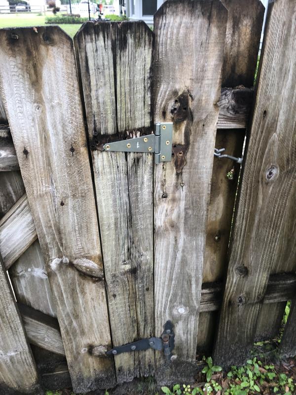 National Hardware Extra Heavy T-Hinges, Galvanized at Tractor Supply Co