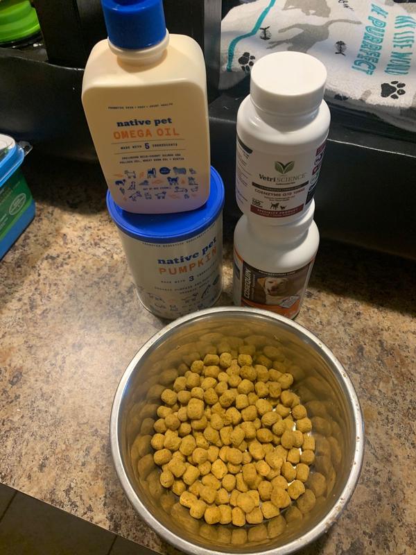 Native Pet Formulated Probiotic Powder for Dogs, 16.4 oz. | Petco