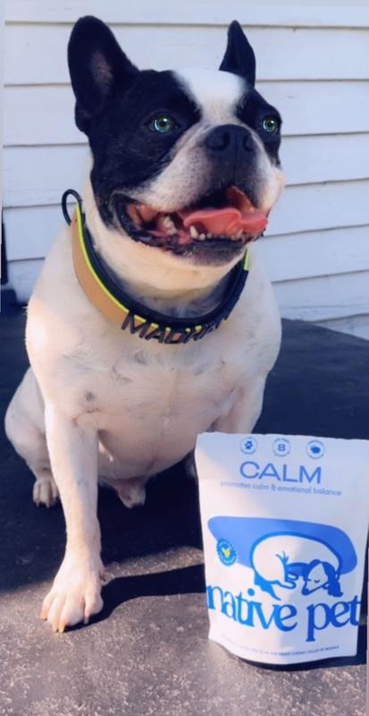 Native Pet Calming Chews for Dogs, 7.6 oz., Count of 120 | Petco