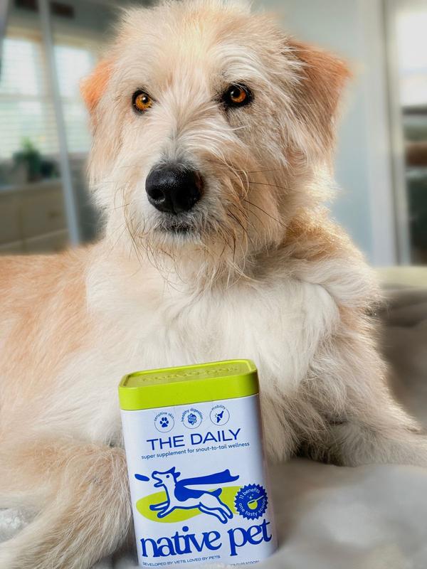 Native Pet Daily Dog Supplement - Mobility & Gut Health 7 oz