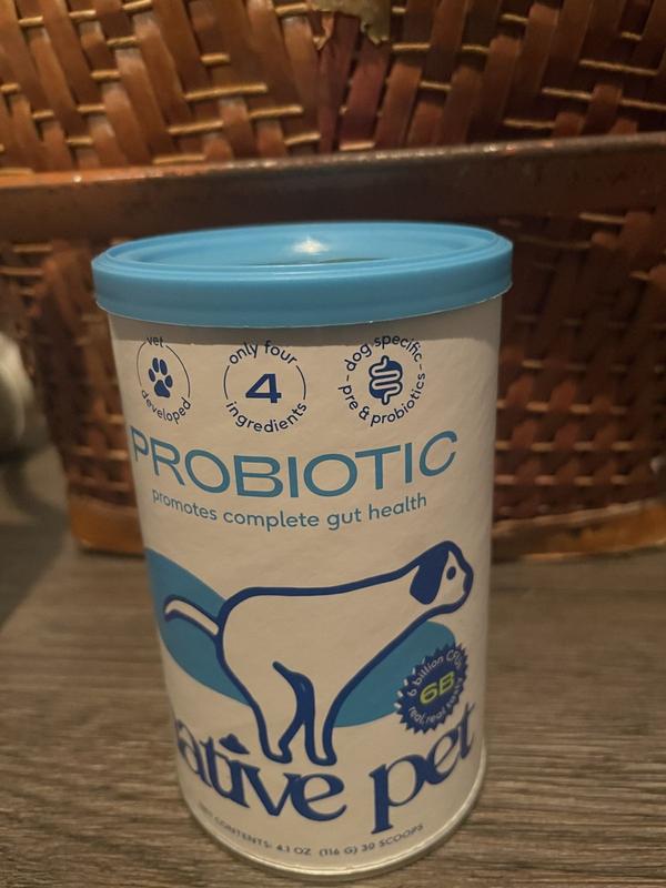 Native Pet Formulated Probiotic Powder for Dogs, 16.4 oz. | Petco