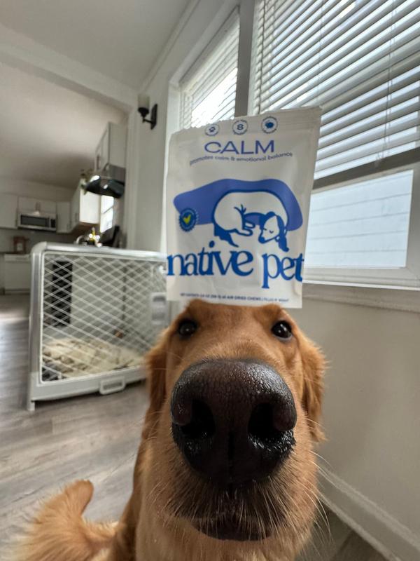 Native Pet Calming Chews for Dogs, 7.6 oz., Count of 120 | Petco