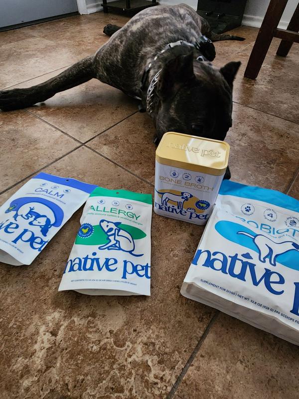 Native Pet Beef Bone Broth Powder for Dogs, 4.75 oz. at Tractor Supply Co
