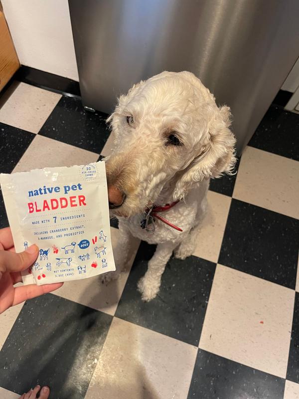 Native Pet Cranberry Bladder Support Chews for Dogs, 120 ct