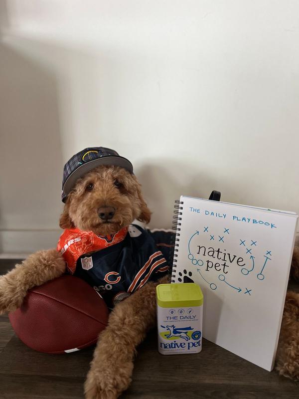 Native Pet Daily Dog Supplement - Mobility & Gut Health 7 oz