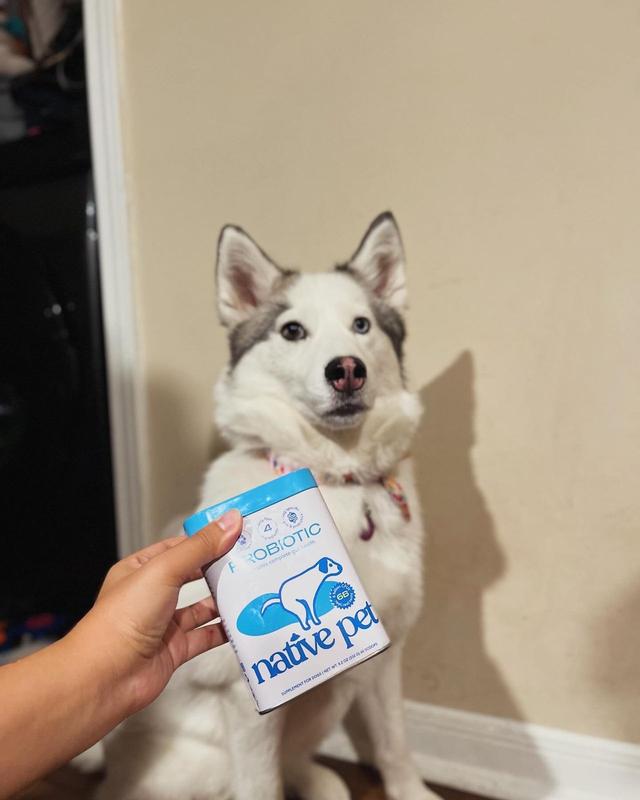 Native Pet Formulated Probiotic Powder for Dogs, 4.1 oz. | Petco